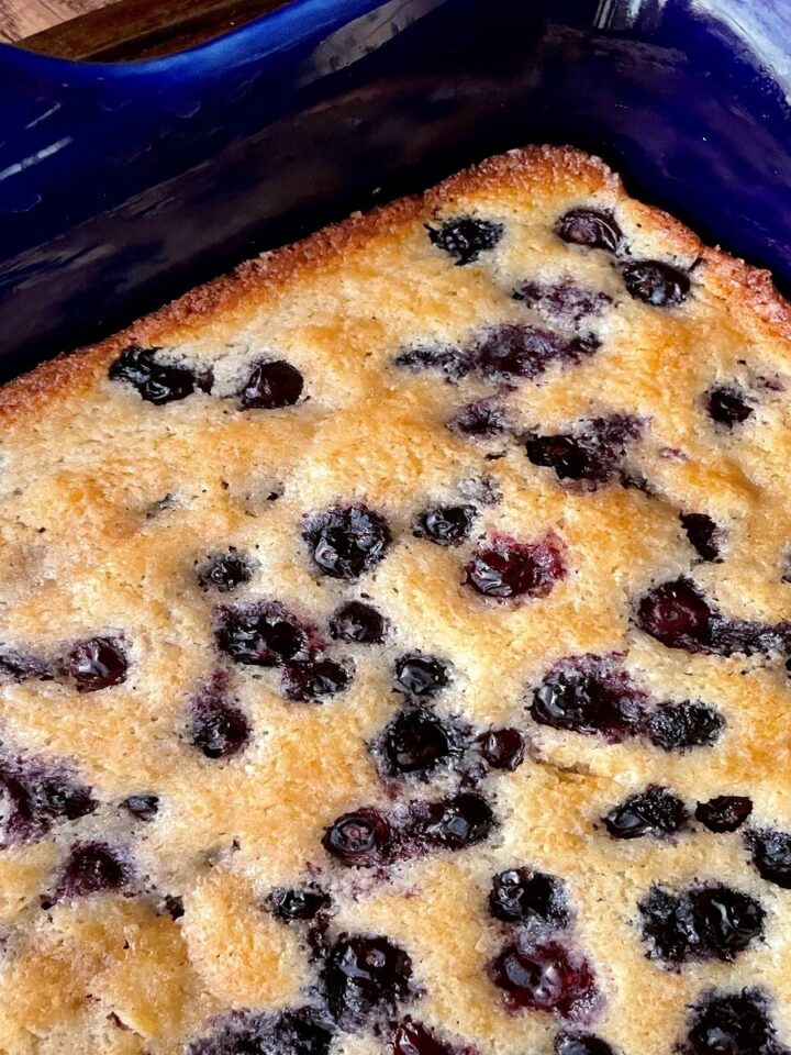 Easy Blueberry Cobbler Recipe - The Kitchen Docs